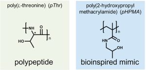 Bioinspired Threonine-Based Polymers with Potent Ice Recrystallization ...