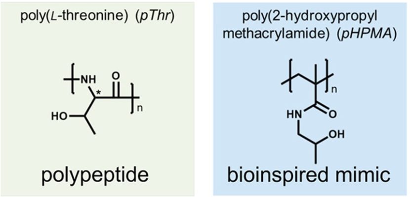 Bioinspired Threonine-Based Polymers with Potent Ice Recrystallization ...