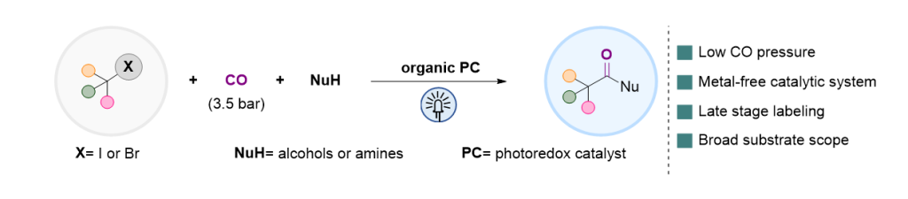 Organocatalyzed Carbonylation of Alkyl Halides Driven by Visible Light ...